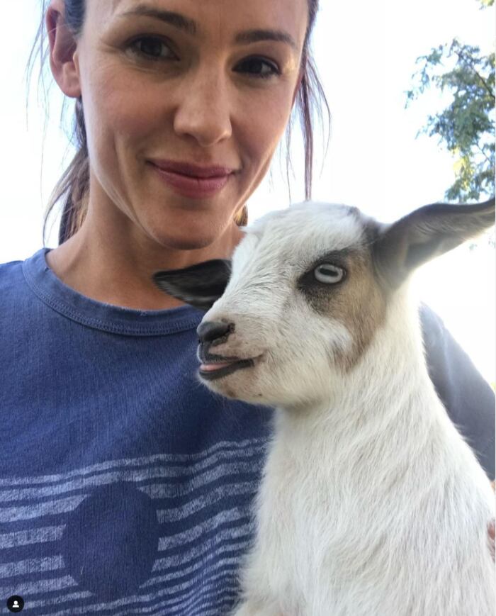 7 Famosos que han demostrado su amor por los animales